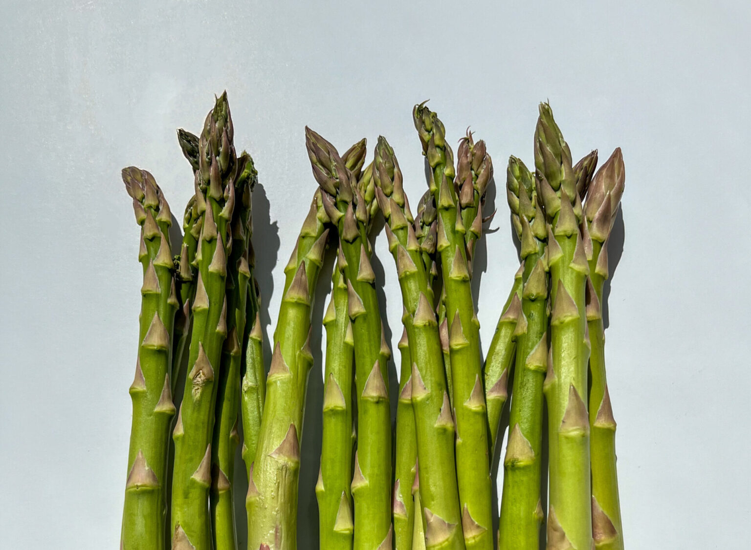 Produce and Gourmet Food Distributor | Keany Produce