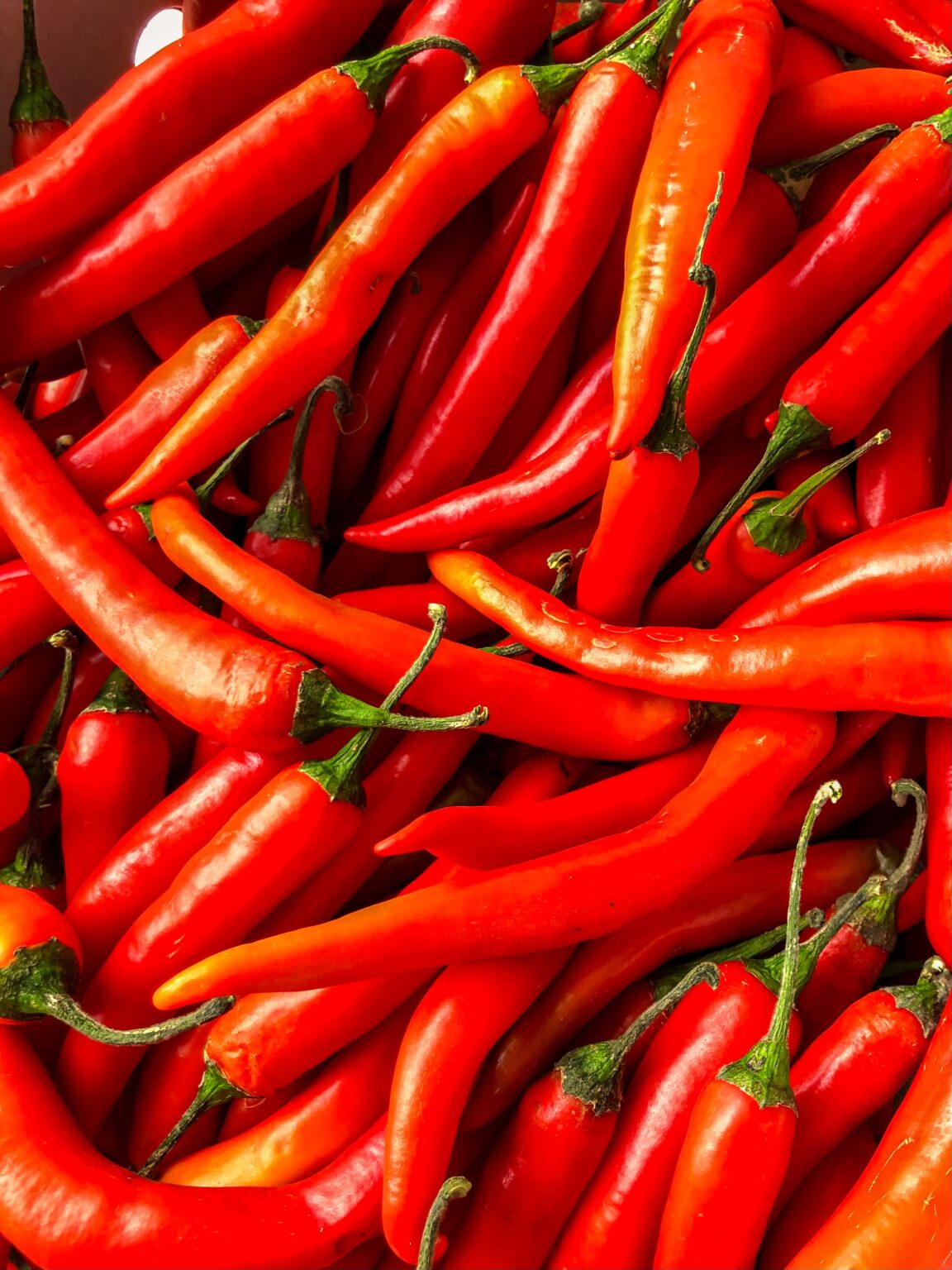 Pepper Identification Chart - Know Your Peppers - Keany Produce & Gourmet