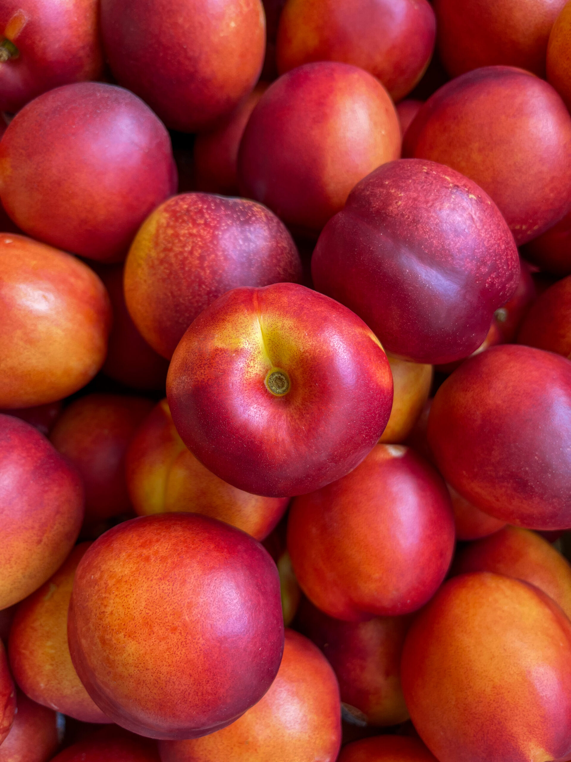 Produce and Gourmet Food Distributor | Keany Produce