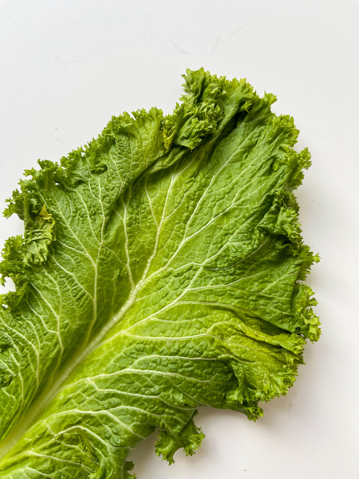 Produce and Gourmet Food Distributor | Keany Produce